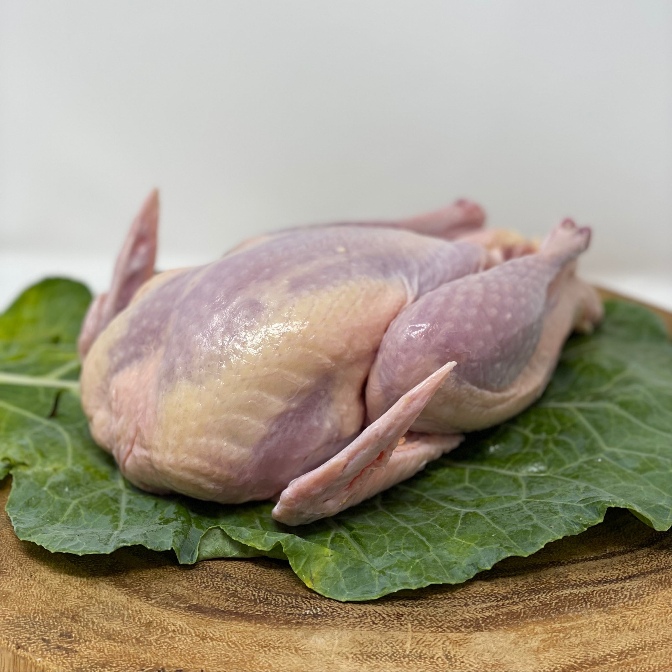 Whole Pheasant | THE ORGANIC BUTCHER